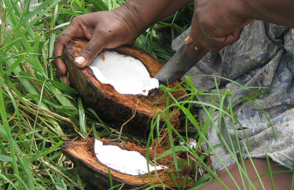 Certified Organic Products | Best Coconut Oil Products - Organic Fiji