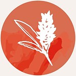 Buy Organic Coconut Oil Products at Best Price - Organic Fiji